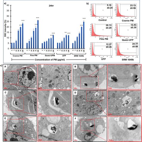 Cellular Uptake Quantification Of Pm Bar Graphs A Depicting Uptake