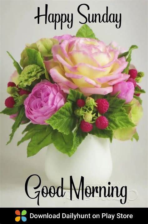 Top 999 Happy Sunday Images With Flowers Amazing Collection Happy