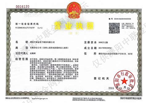 分析视点 溧阳中联金电子商务网