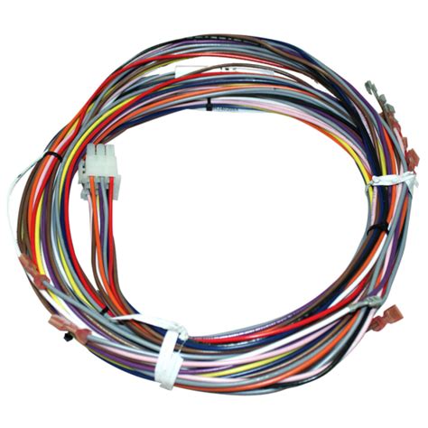 Plug Assembly