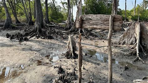 Беженец🇮🇳Андаманы Слоновий пляж Неожиданно красивые мангровые леса Ищем крокодилов Youtube