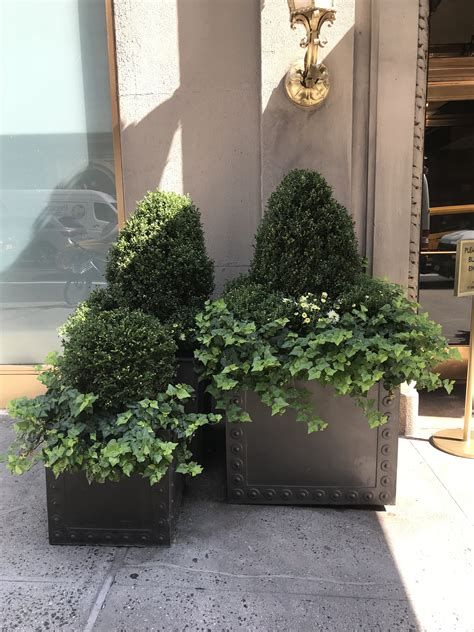 Two Black Planters On Sidewalk