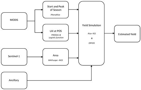 Remote Sensing Free Full Text Spatial Rice Yield Estimation Based