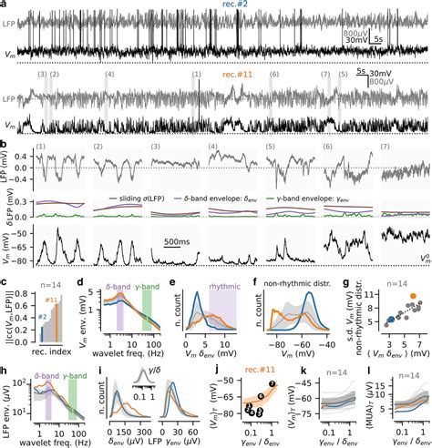 Network States Classification Based On Local Field Potential Recordings