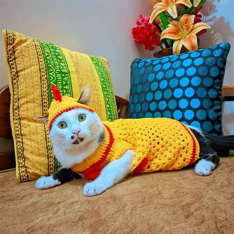 নানীরে আগেই কইছিলাম বেশি বাড়াবাড়ি না করতে।🤣 Highlights2025