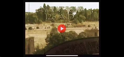 밀림의 왕 사자도 참지못하는 뷔페 Mp4 유머 움짤 이슈 에펨코리아