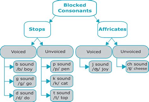 Examples Of Linking Sounds At Willy Booth Blog