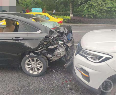 女子边驾车边逗狗引发追尾 撞得前车安全气囊都打开了凤凰网