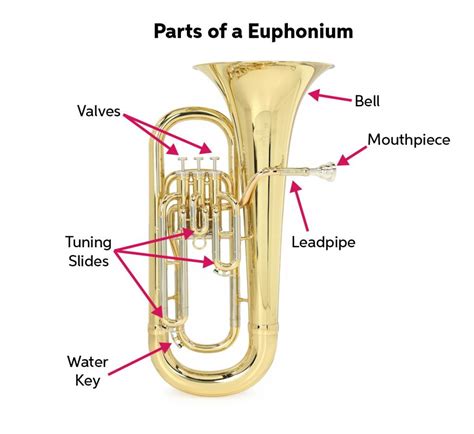 Euphonium And Baritone Horn Quickstart Guide Sweetwater
