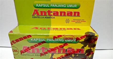 Kapsul Antanan Asli Jamu Asam Urat Herbal Panjang Umur