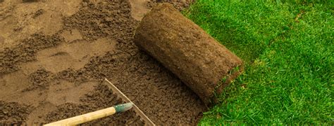 Can Grass Grow Spread And Seed On Its Own Grass Tasks