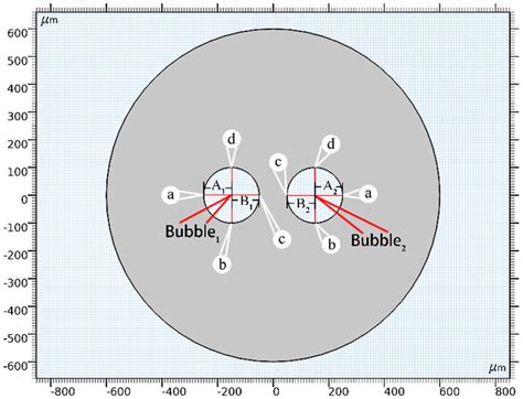 schematic diagram of the selection of bubbles and points on the bubble download scientific