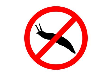 Против слизней - Seed-Holland товары для дома, сада и огорода
