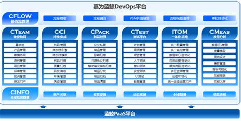 嘉为蓝鲸携手东风集团、上汽零束再获信通院四项大奖，助力汽车行业客户成功 搜狐汽车 搜狐网