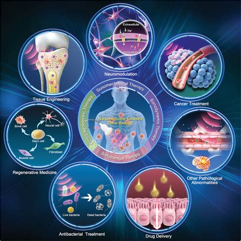 Scheme Of The “nanomedicine‐enabled Sono‐therapies” Paradigm And The Download Scientific