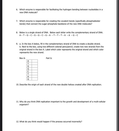 Solved 1 Why Does DNA Need To Replicate 2 In Relation To Chegg Com