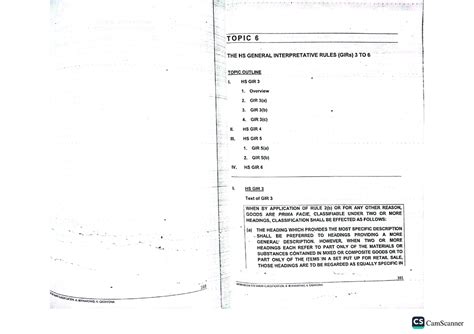 P6 Gir Classification Guidelines Customs Administration Rmmc