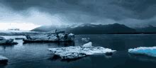 Iceberg S Tenor