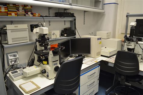 Confocal Microscope And Optical Imaging Cellular E Molecular Oncology