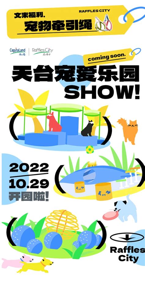 开放深圳首个天台宠爱乐园来打卡 宠物大礼包等你来领 花瓣网