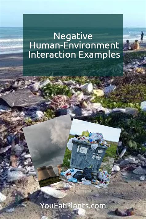 Examples Of Negative Human Environment Interaction