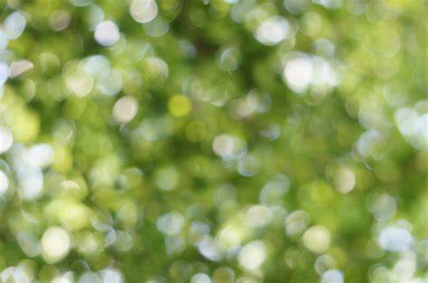 아침에 태양 빛에 뒤에 나무 아래 촬영에서 만든 녹색과 흰색 원형 Bokeh와 나무의 모호한 이미지 그 신선한 따뜻한 느낌이 고 하드 작업에 대 한 새로운 영감을 만들 0