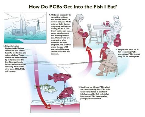 Monsanto Must Pay Million In Damages In Pcb Lymphoma Case