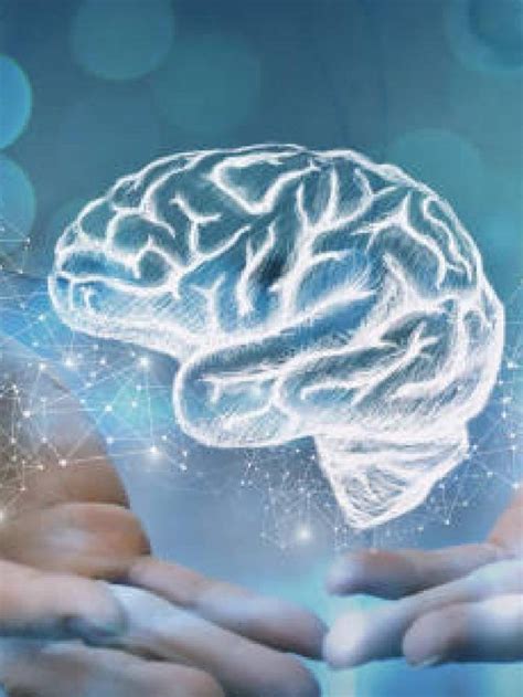 Healthy Diet To Boost Brain Functioning News9 Live