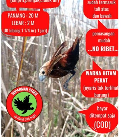 Jual Model Baru Jaring Burung Emprit Haji Jaring Burung Kecil Jaring Burung Sawah Jaring Burung