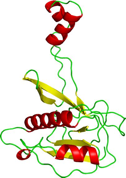 In The Binding Structure Of Csy4 Rna Complex The Rna Illustration Clipart Full Size Clipart In The Binding Structure Of Csy4 Rna Complex The Rna Illustration Clipart Full Size Clipart