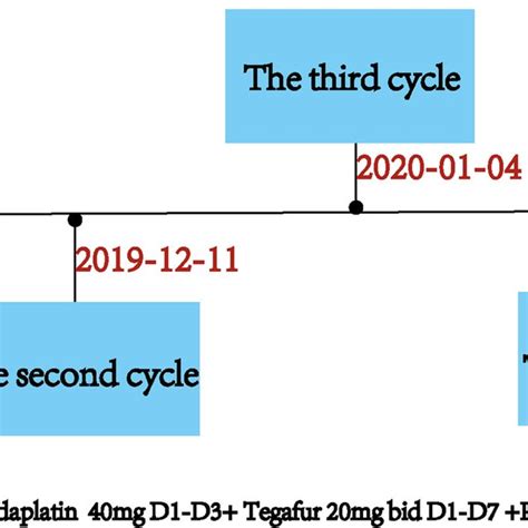 The Doses And Schedules Of The Neoadjuvant Chemotherapy Combined