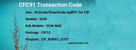 CFC SAP Tcode For Activate Deactivate BgRFC For CIF
