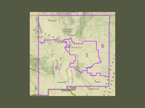 Non Partisan Groups Offer Mixed Evidence To Judge Deciding Fairness Of Nm Congressional Map