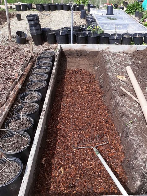 About Many Trees Project