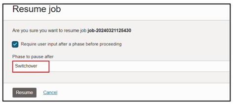 Migrate Oracle Database 11g To Oci With Minimal Downtime Using Oci