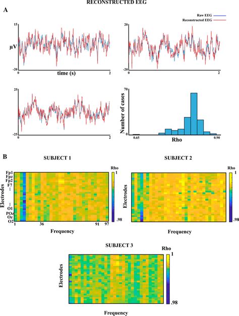 Filters Operation Checking Results A Eeg Reconstruction From Filtered