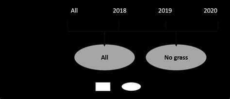 Illustration Of The Database Sub Sample Decomposition Download Scientific Diagram