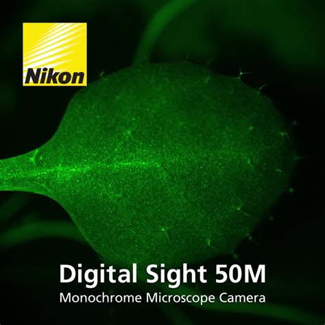 Nikon Instruments On Linkedin Digital Sight 50m Microscope Camera
