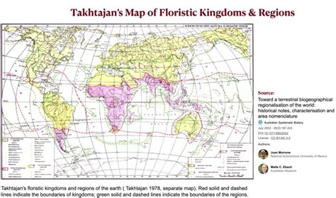 Floristic Kingdoms And The Architecture Of Continents Geocurrents