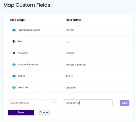how to configure organization custom fields and show salesforce details chisel help