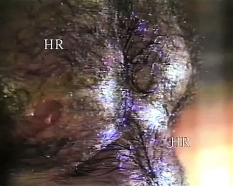 Zwei Heiße Sexszenen Für Eifrige Muschis Xhamster