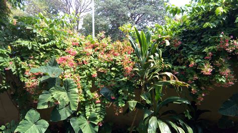 Infinix Hot S Pro Review G Lte Phoneworld