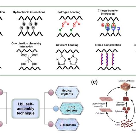 A Schematic Overview Of LbL Assembly Technique With Fabrication Download Scientific Diagram