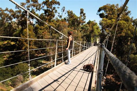 Spruce Street Suspension Bridge Hidden San Diego