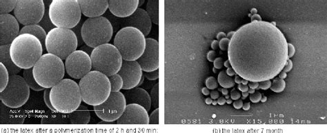 Figure 2 From Polystyrene Latex Particles Obtained By Emulsifier Free