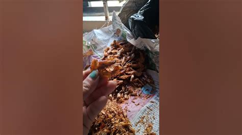 Cingri Sukti Viralvideo Food Myfavoritethings Youtube