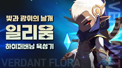 하이퍼버닝 250레벨 일리움 육성기 특징사냥터보스 메이플스토리 리부트 햄군님 Youtube