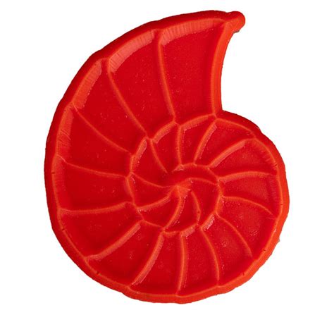 Small Nautilus Pacific Concrete Images