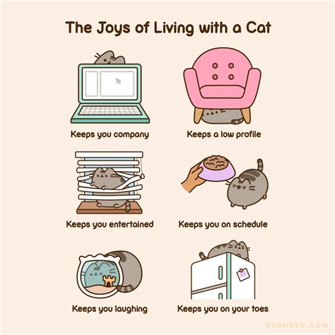 Pusheen The Cat On Twitter