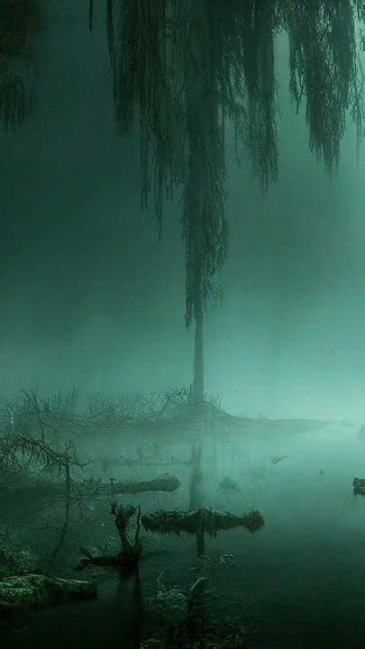 Озеро Basso Profundo Youtube